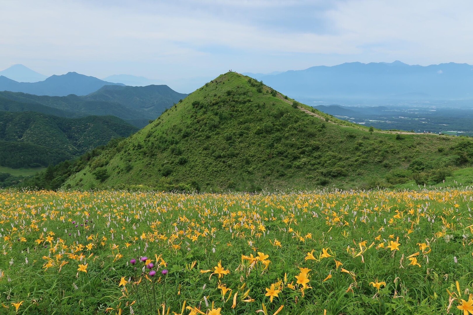 ニッコウキスゲ満開🌼 飯盛山・大盛山 / heeさんの飯盛山の活動データ | YAMAP / ヤマップ