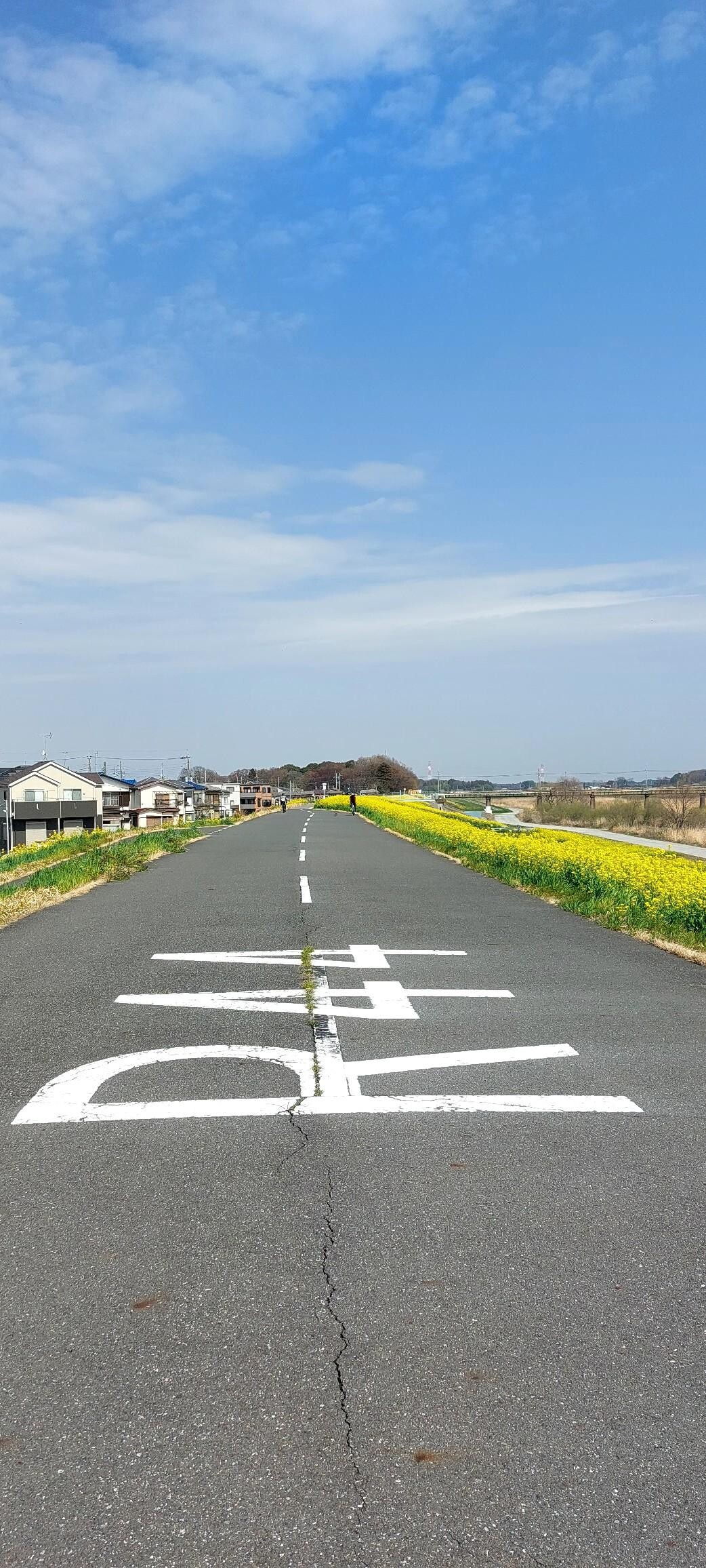 江戸川サイクリング-2024-03-17 / HALさんの登山の活動データ | YAMAP / ヤマップ