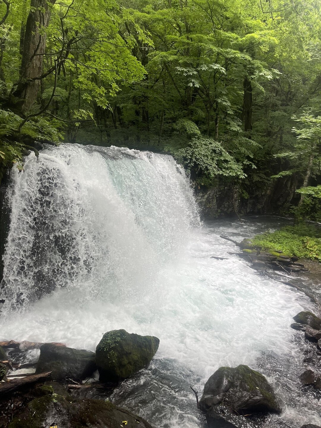 奥入瀬渓流 (遠征⛰️番外編) / ekさんの奥入瀬渓流の活動データ | YAMAP / ヤマップ