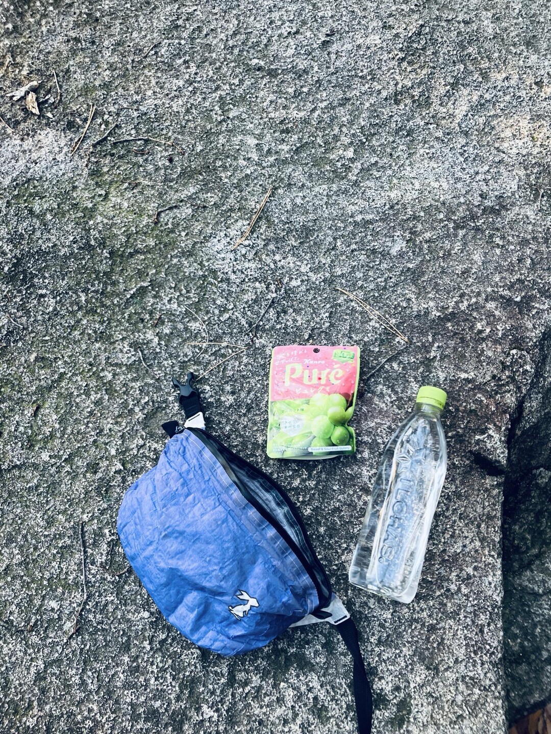 極楽寺山 / kamexさんの極楽寺山の活動データ | YAMAP / ヤマップ