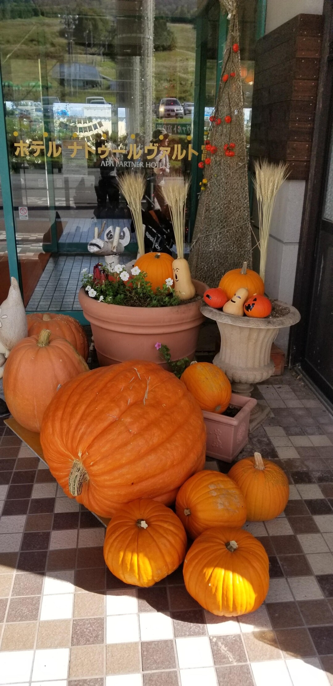 富良野2022-09-25 / haruruさんの藻岩山の活動データ | YAMAP / ヤマップ