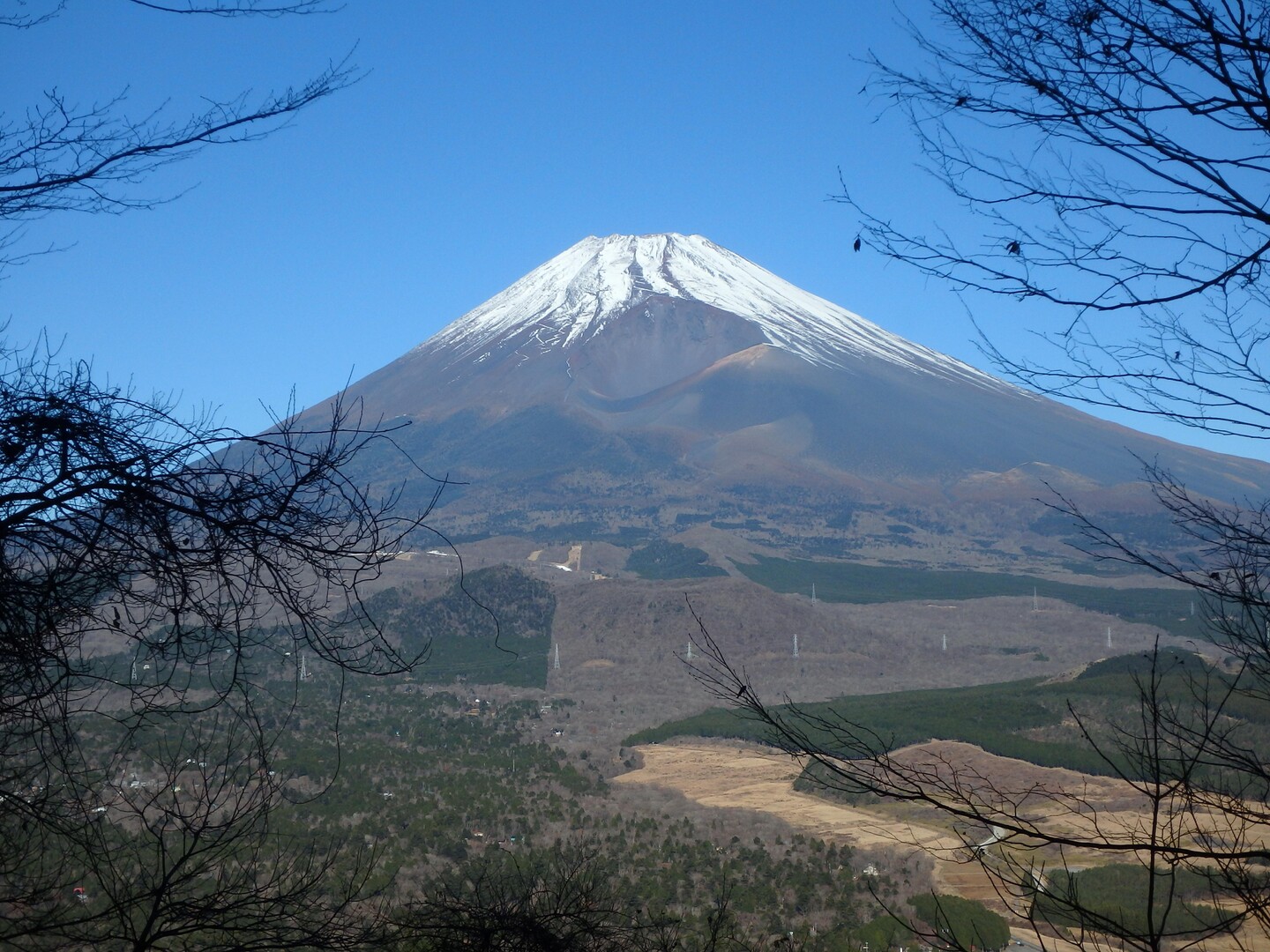 富士山VIEW越前岳周回 / がくがく爺さんの愛鷹山・大岳・黒岳の活動データ | YAMAP / ヤマップ