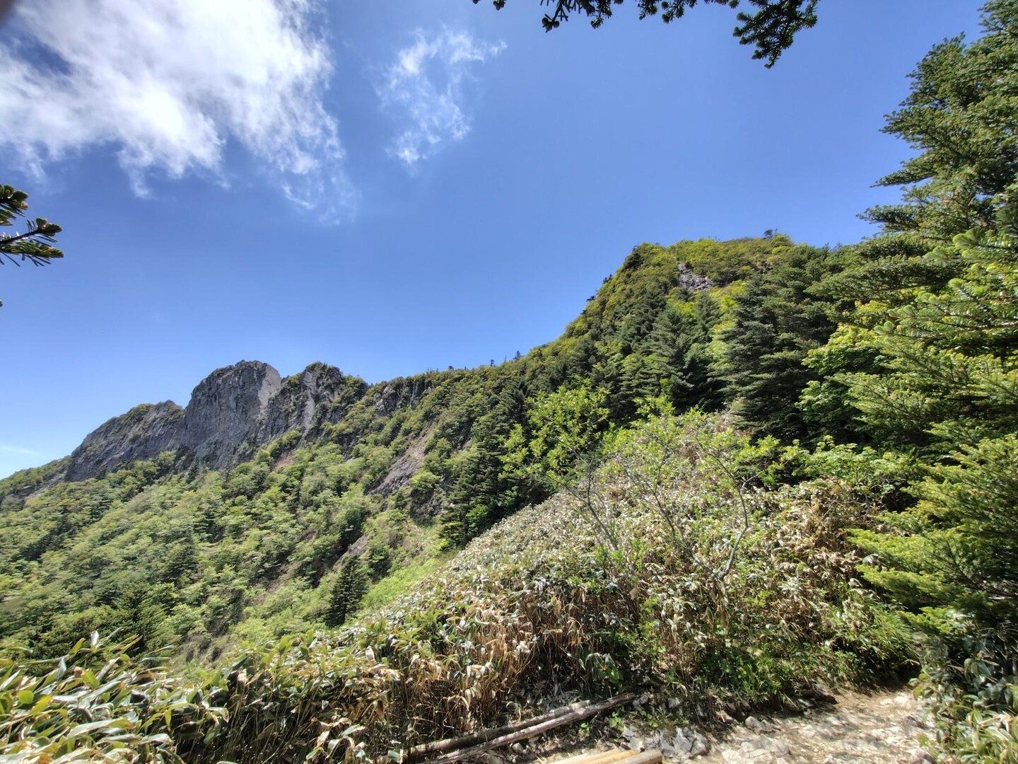 石鎚山 / k339さんの石鎚山・堂ヶ森・二ノ森の活動データ | YAMAP / ヤマップ