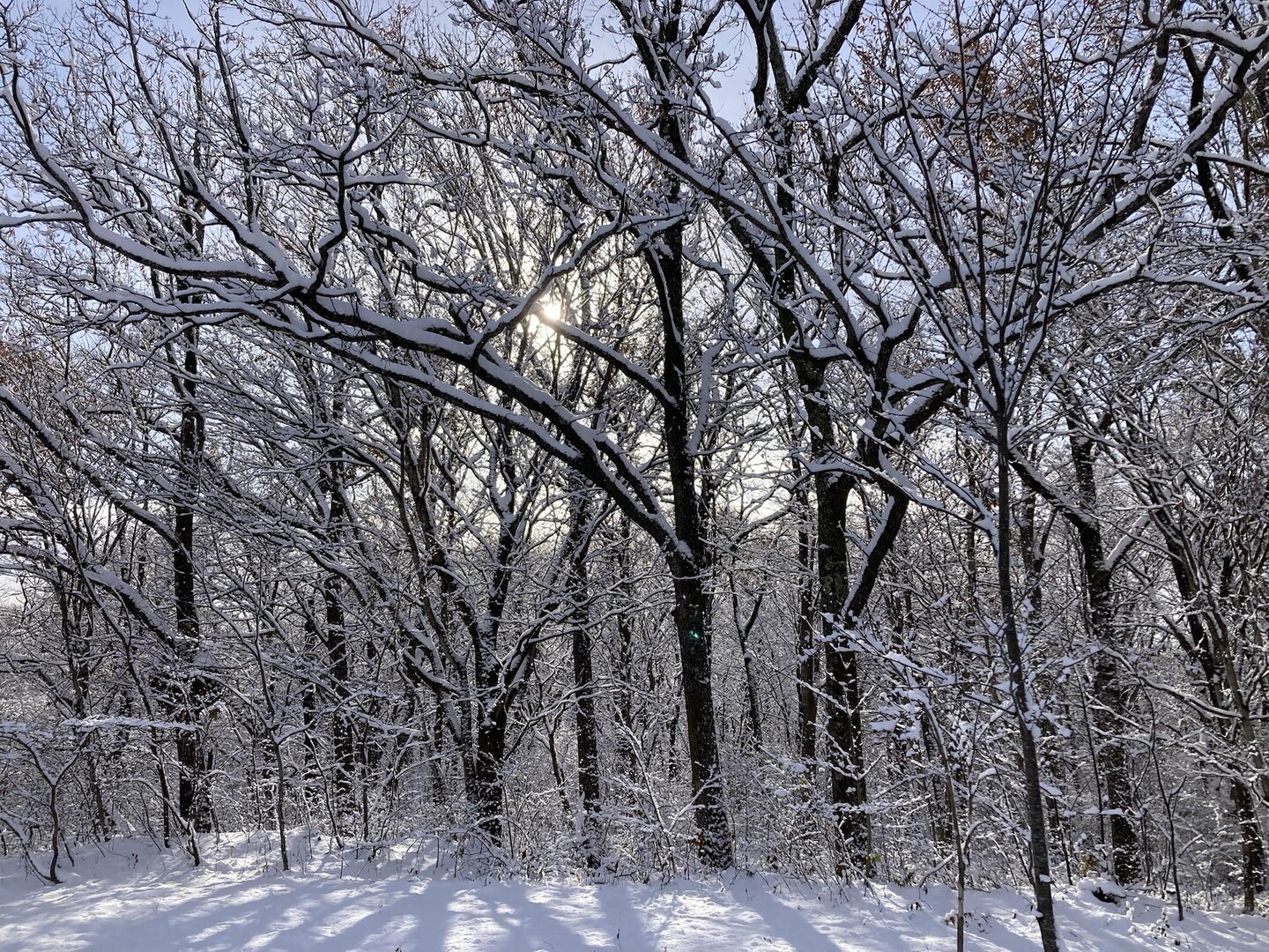 雪が積もった泉ヶ岳で山歩 / ak,snowさんの船形山（御所山）・泉ヶ岳・蛇ヶ岳の活動データ | YAMAP / ヤマップ