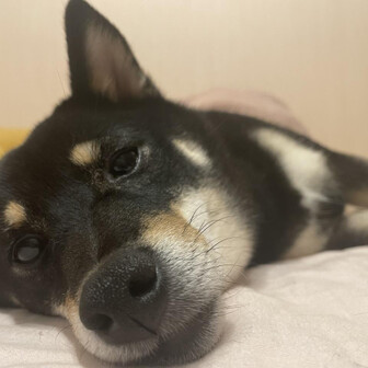 shichi時のページ | YAMAP / ヤマップ