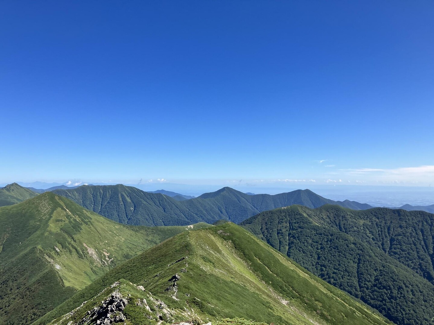 幌尻岳（新冠陽希コース） / NAOKIさんの幌尻岳・戸蔦別岳・伏美岳の活動データ | YAMAP / ヤマップ