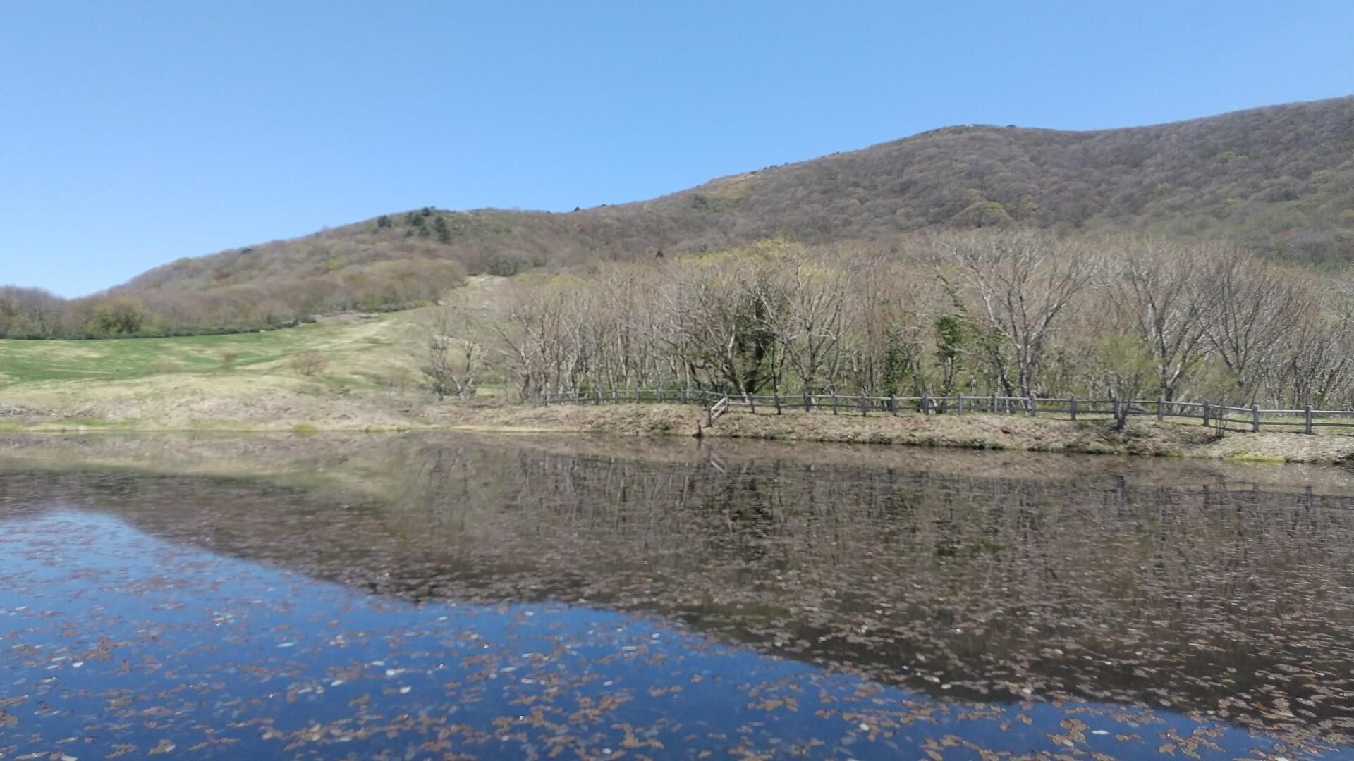 吾妻山② / やよさんの比婆山・立烏帽子山・吾妻山の活動データ | YAMAP / ヤマップ