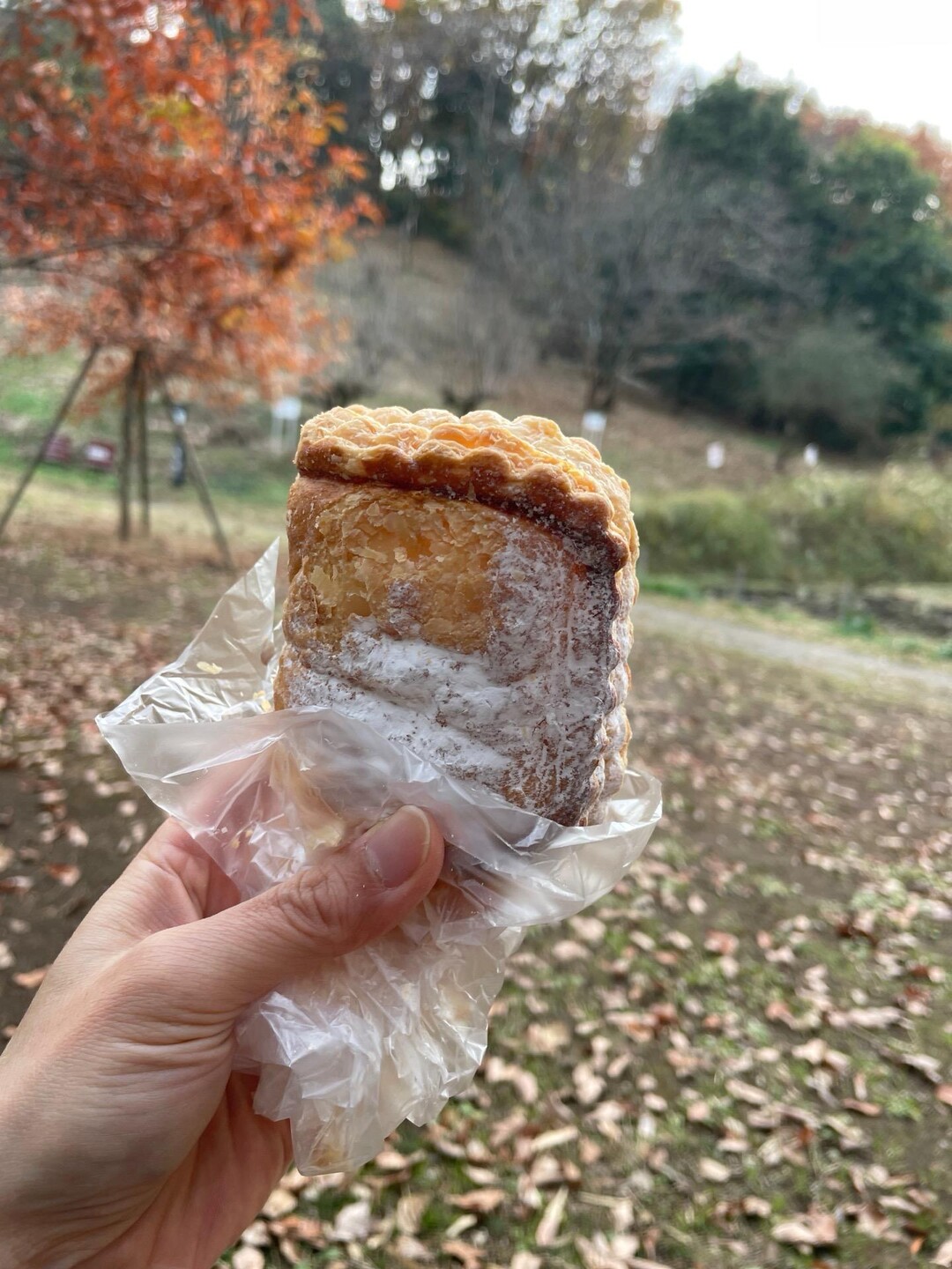公園ピーク⛰️ / sayoさんの鶴見川流域ウォーキングMAP（尾根歩き編）の活動データ | YAMAP / ヤマップ