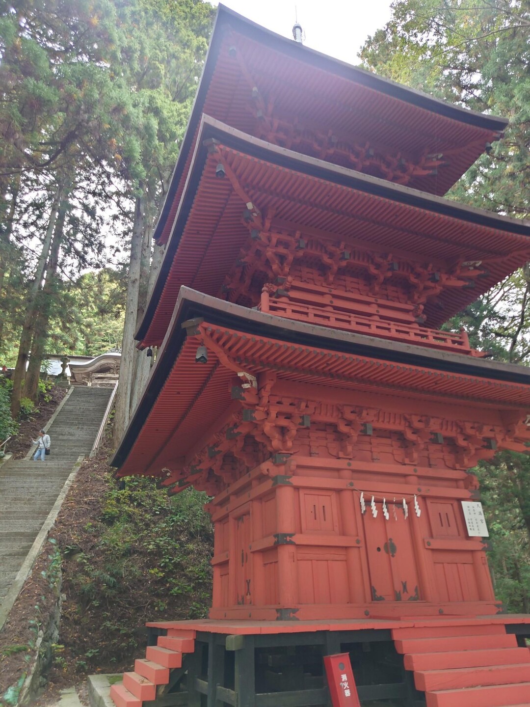 木幡山 / y_kumataさんの口太山の活動データ | YAMAP / ヤマップ