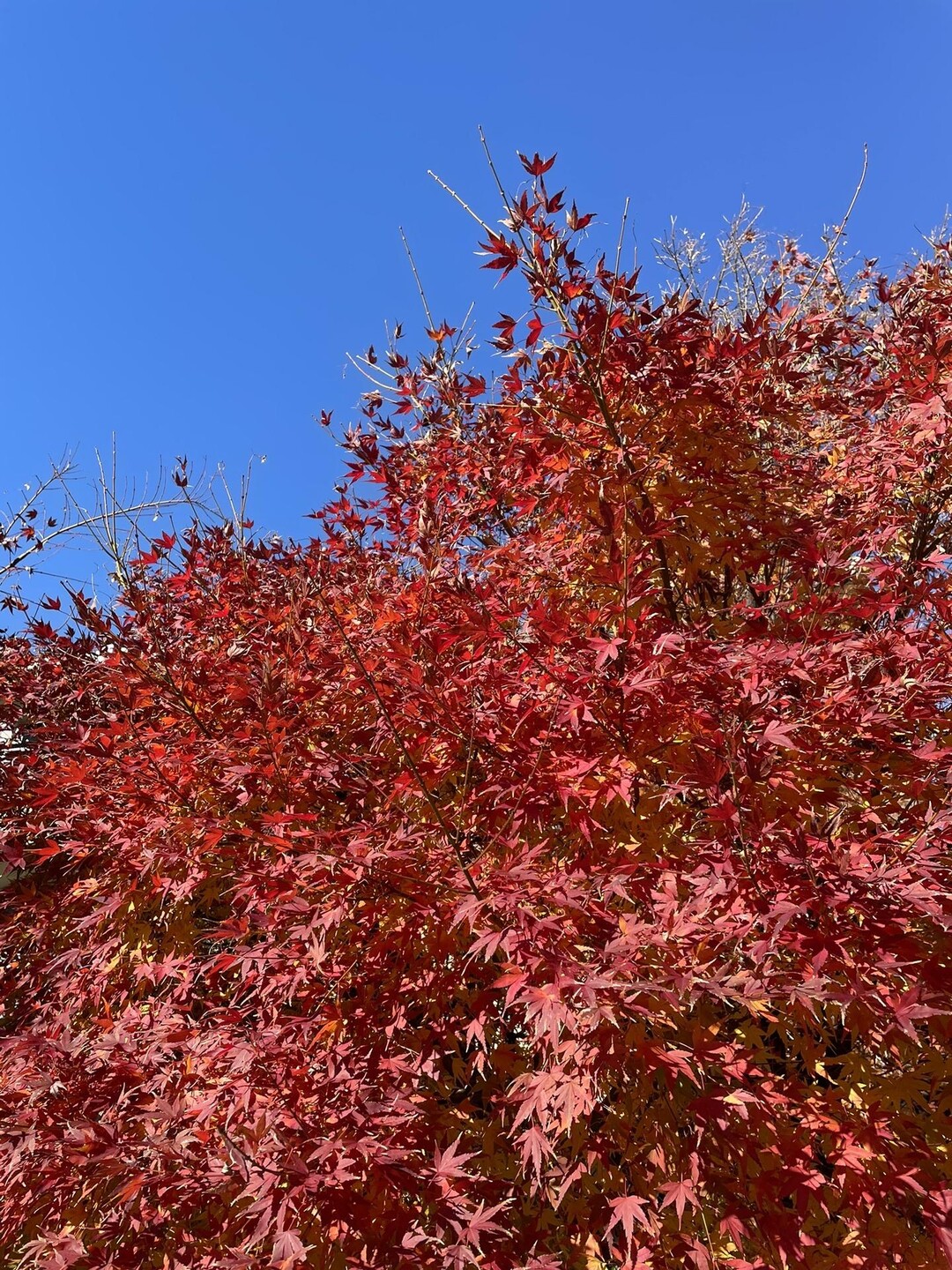 Ushi924さんの投稿したフィールドメモ | YAMAP / ヤマップ