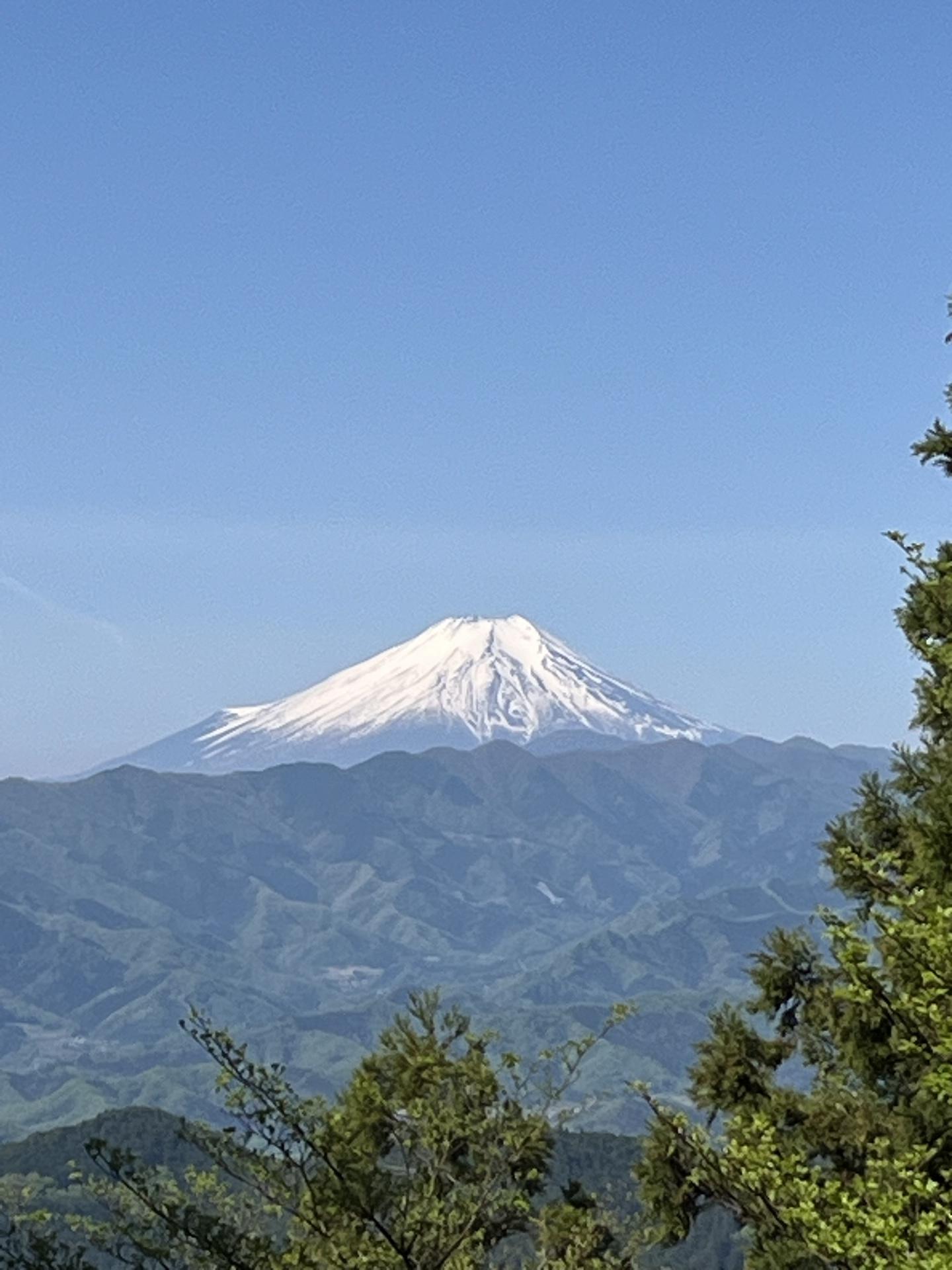 478m圏峰・大久保山・景信山・城山（小仏城山）・高尾山・神変山 / Michelleさんの高尾山・陣馬山・景信山の活動データ | YAMAP / ヤマップ
