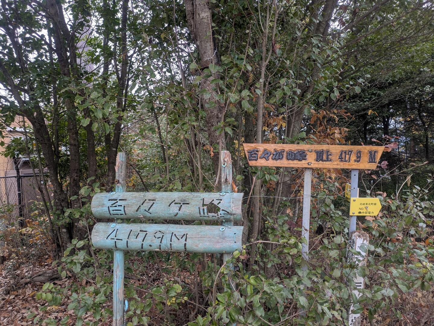 DODOニューイヤートレイル試走会2024 / まりこま(まさ)さんの百々ヶ峰・源太峰の活動データ | YAMAP / ヤマップ