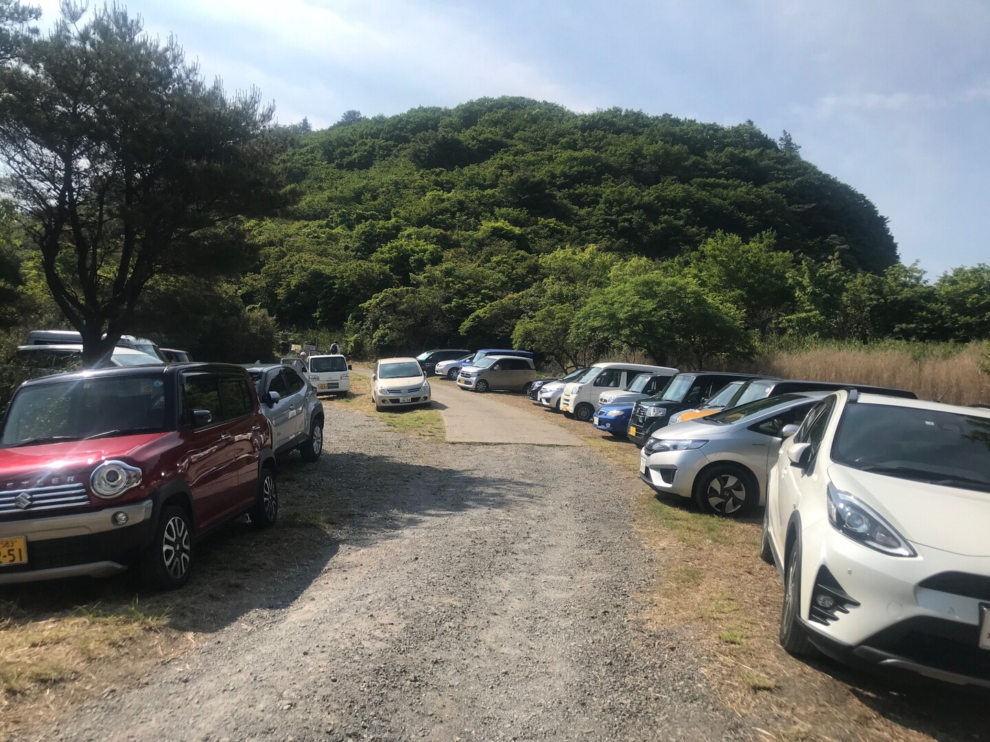 Meeyaさんの投稿したフィールドメモ | YAMAP / ヤマップ