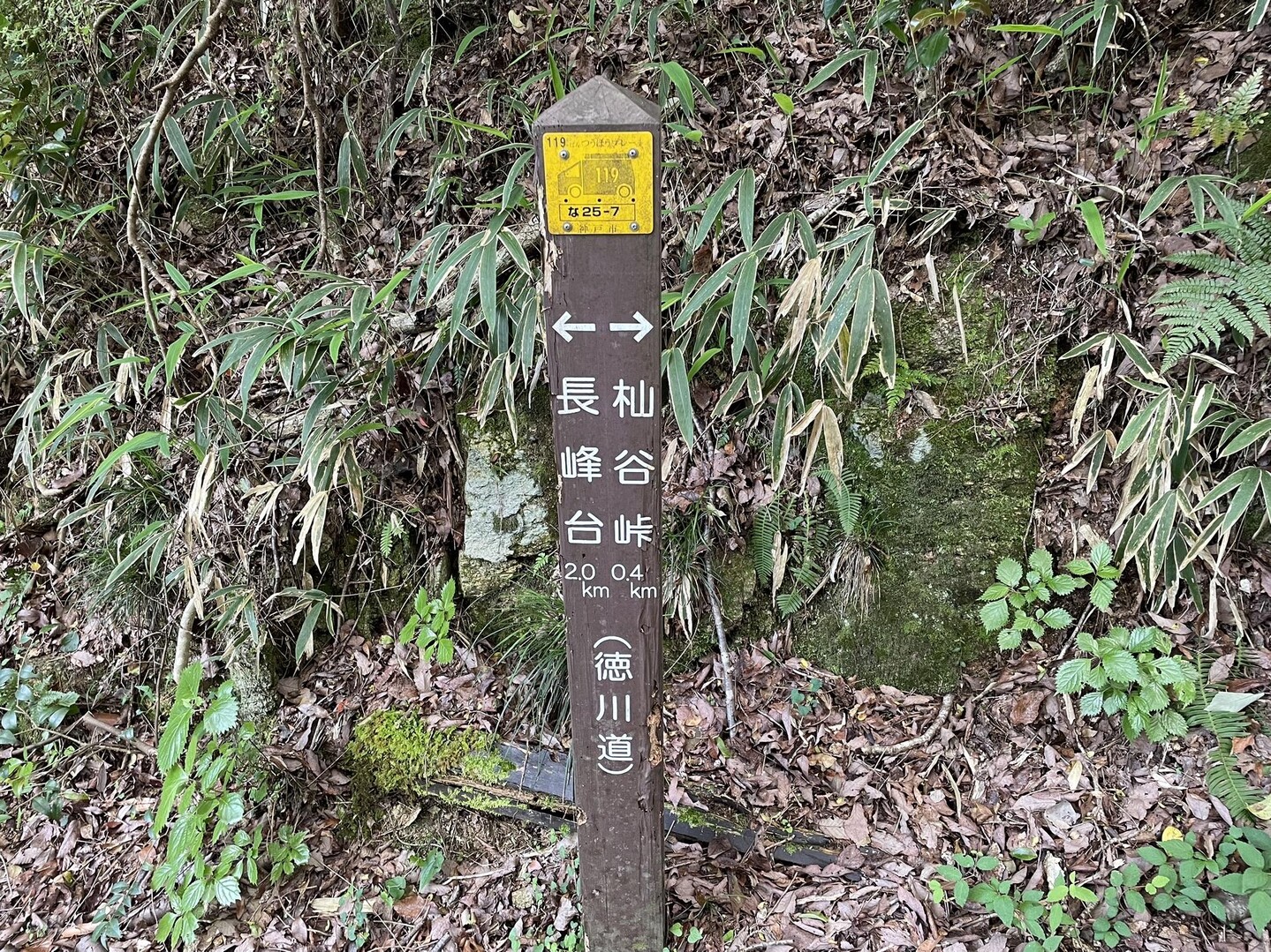 tsk-chaponさんの投稿したフィールドメモ | YAMAP / ヤマップ