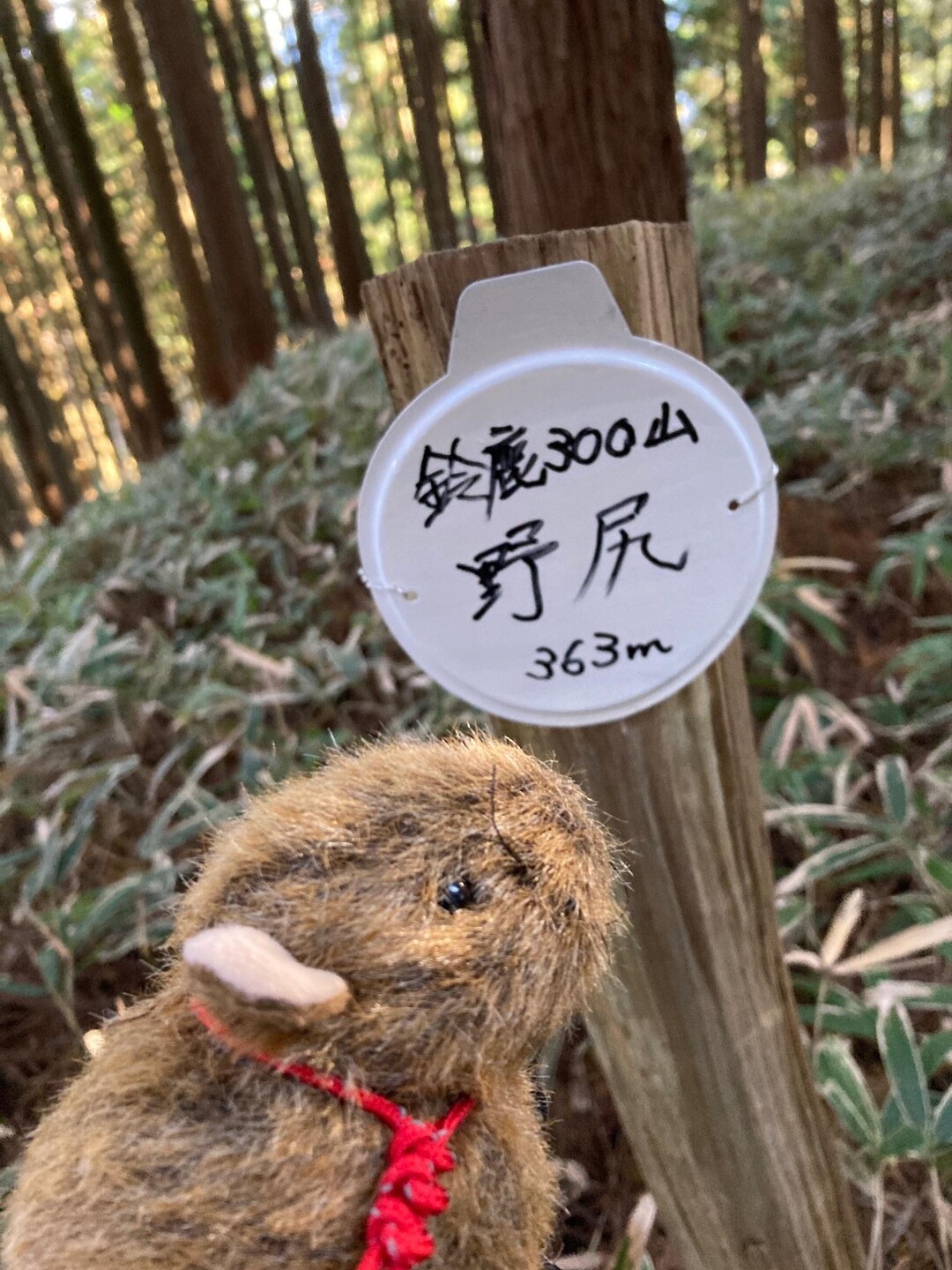 南土山・野尻・高塚・城山・エボシ / すずめさんの高畑山・那須ヶ原山・油日岳の活動データ | YAMAP / ヤマップ