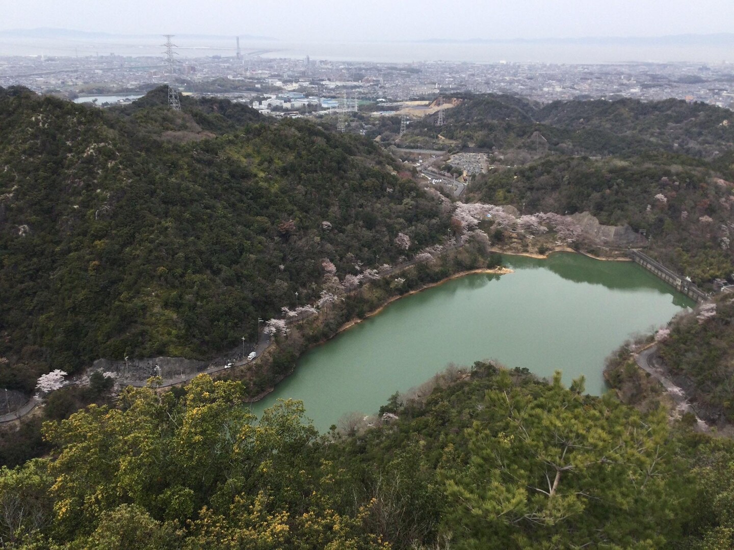 桜の奥山雨山自然公園 土丸バス停から永楽ダムへ / nickさんの雨山の活動データ | YAMAP / ヤマップ