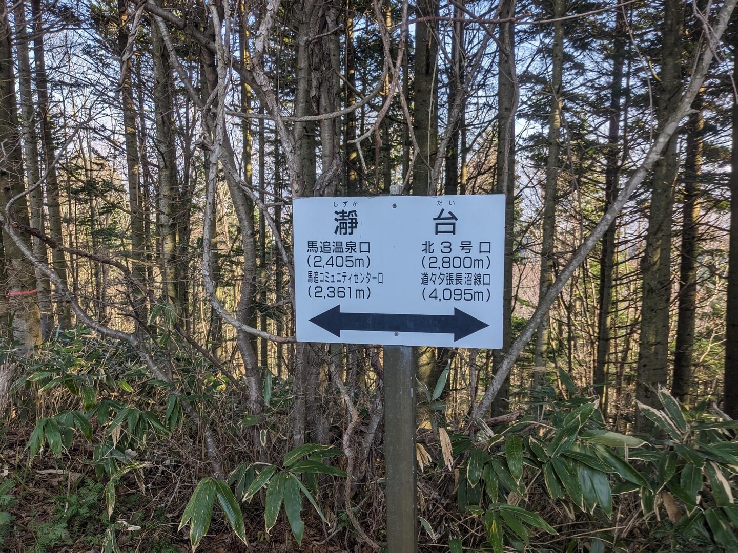 ウォーキング-2023-11-22 / ima3さんのウォーキングの活動データ | YAMAP / ヤマップ