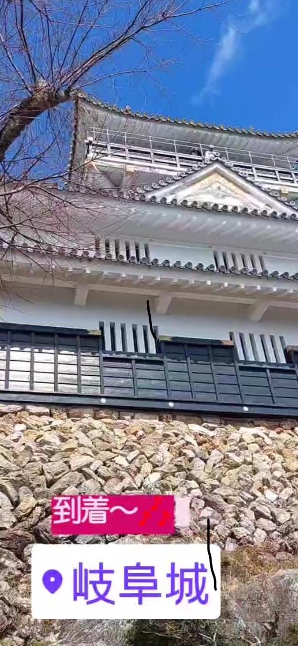 金華山 / rinpeさんの金華山・洞山・舟伏山の活動データ | YAMAP / ヤマップ