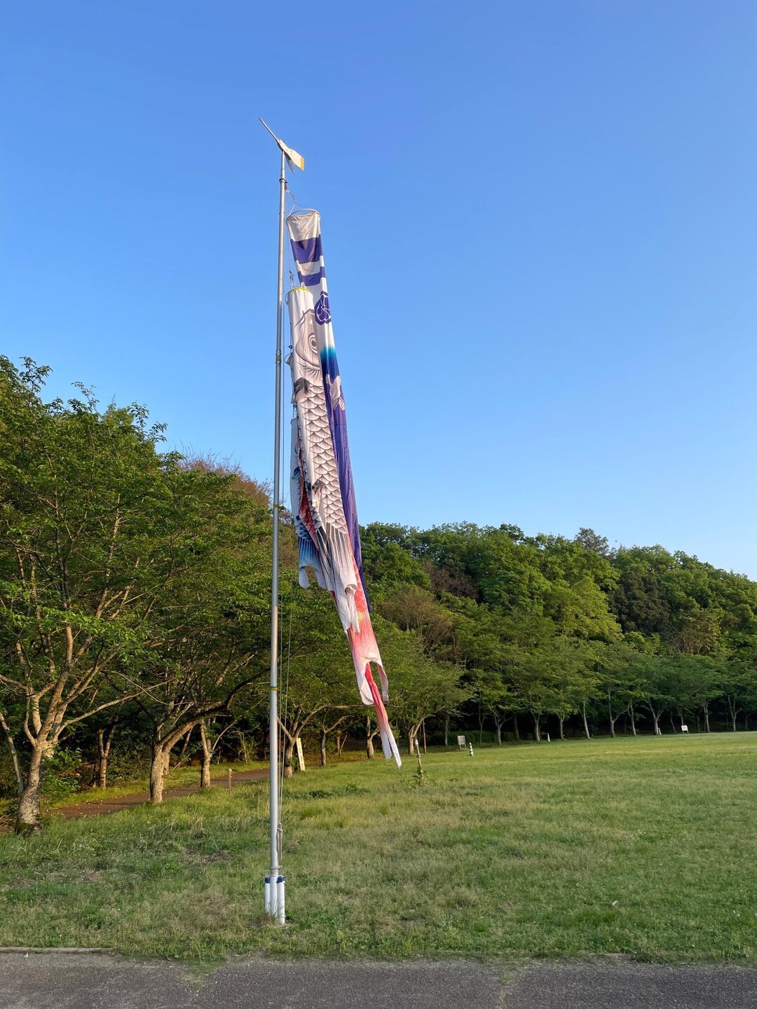 三日月山 / yokoさんの立花山・三日月山・城ノ越山の活動日記 | YAMAP / ヤマップ