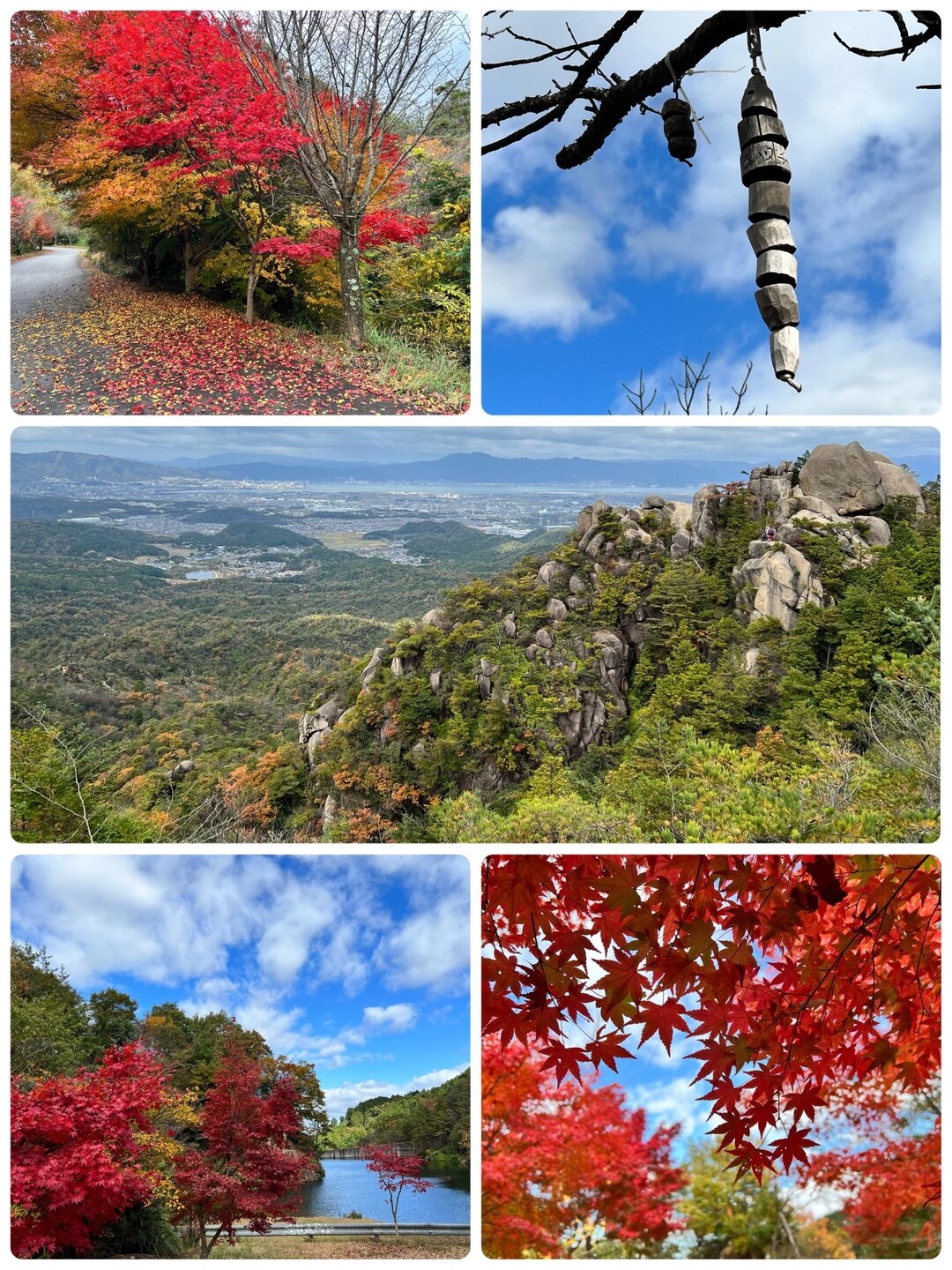紅彩サクッと天狗岩 / たけのこ zi ziさんの金勝アルプス（鶏冠山・竜王山）の活動データ | YAMAP / ヤマップ