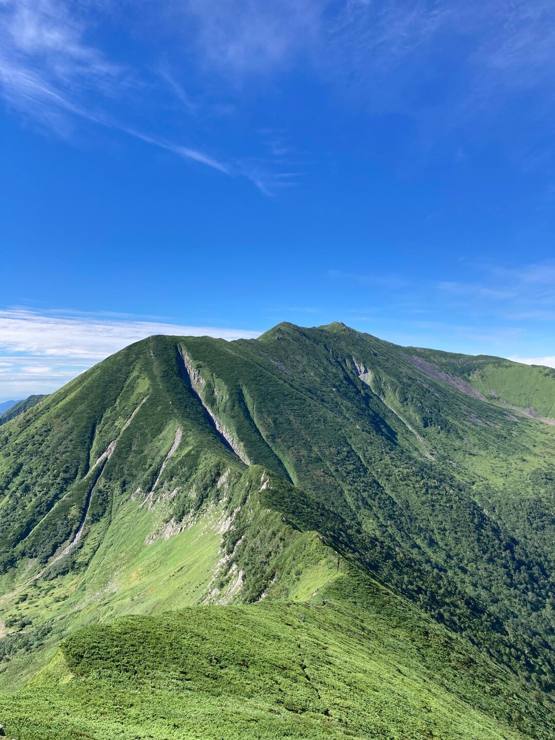 幌尻岳 日帰り山行💦 / Ezo1さんの幌尻岳・戸蔦別岳・伏美岳の活動データ | YAMAP / ヤマップ
