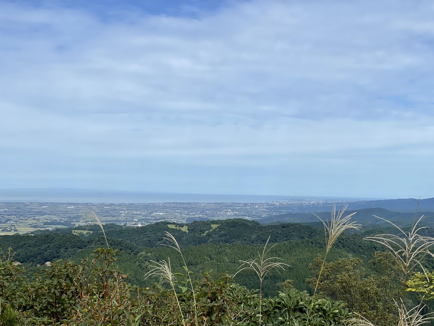 尖山 / Michael Sunさんの尖山の活動データ | YAMAP / ヤマップ