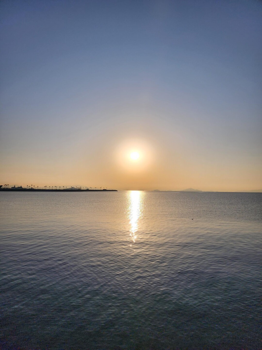 sunrise sunroad / 山おっさんさんのモーメント | YAMAP / ヤマップ