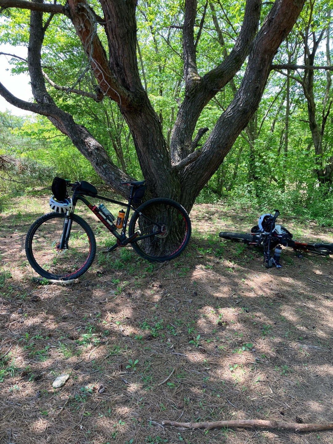 仏具山 / 8Man.GTさんの朝日山の活動データ | YAMAP / ヤマップ