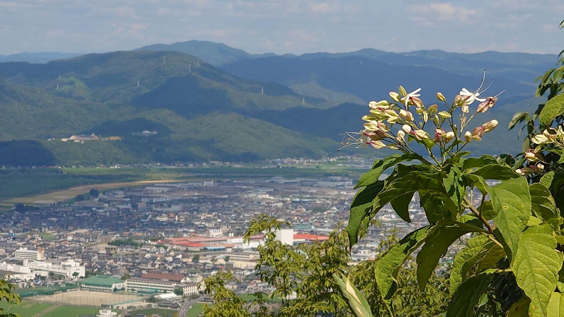 福山1234階段 2024-08-10 / やすとめさんのウォーキングの活動データ | YAMAP / ヤマップ