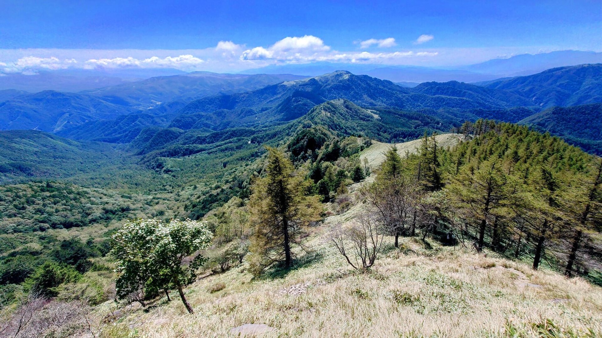 霧ヶ峰・美ヶ原中央分水嶺トレイル / capetaさんの霧ヶ峰・車山・大笹峰の活動データ | YAMAP / ヤマップ
