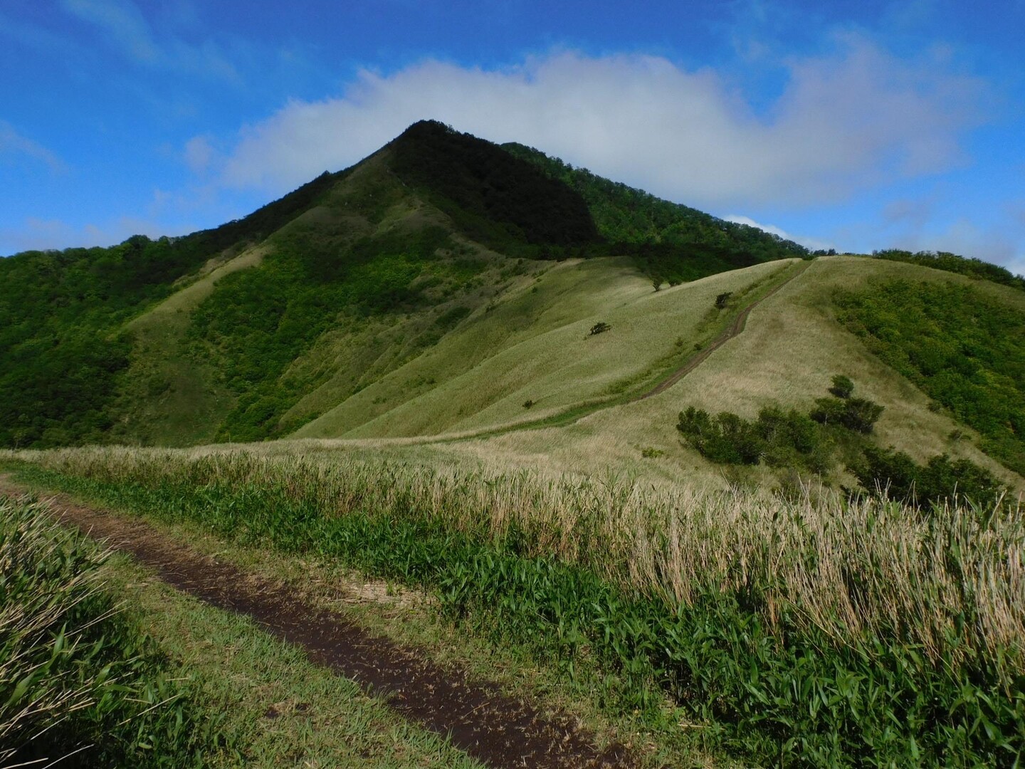 下蒜山・中蒜山・上蒜山・槍ヶ峰 / aya_mt_s.15さんの蒜山の活動データ | YAMAP / ヤマップ