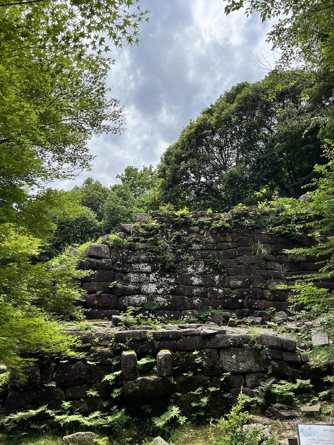 グループ登山&BBQ / おっPさんの馬ヶ岳の活動データ | YAMAP / ヤマップ