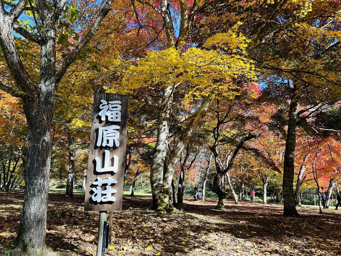 10/18 今年は山に紅葉見に行けなかっ... / ni43さんのモーメント | YAMAP / ヤマップ