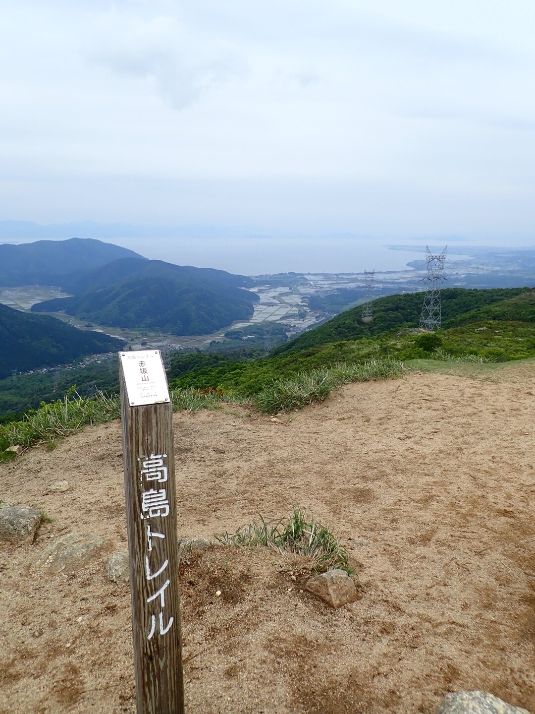 152⚫︎イワカガミに出会えた赤坂山・寒風縦走の巻 / yukkoさんの三国山・乗鞍岳・赤坂山の活動日記 | YAMAP / ヤマップ