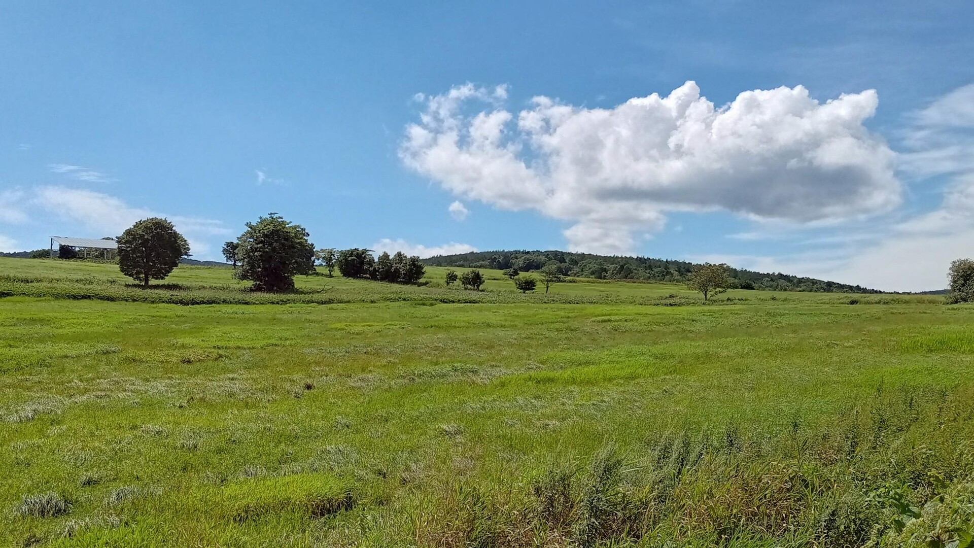 置戸町 高原コース歩き ちょっと歩くつもりが…（笑） / かずたOKTさんの登山の活動データ | YAMAP / ヤマップ