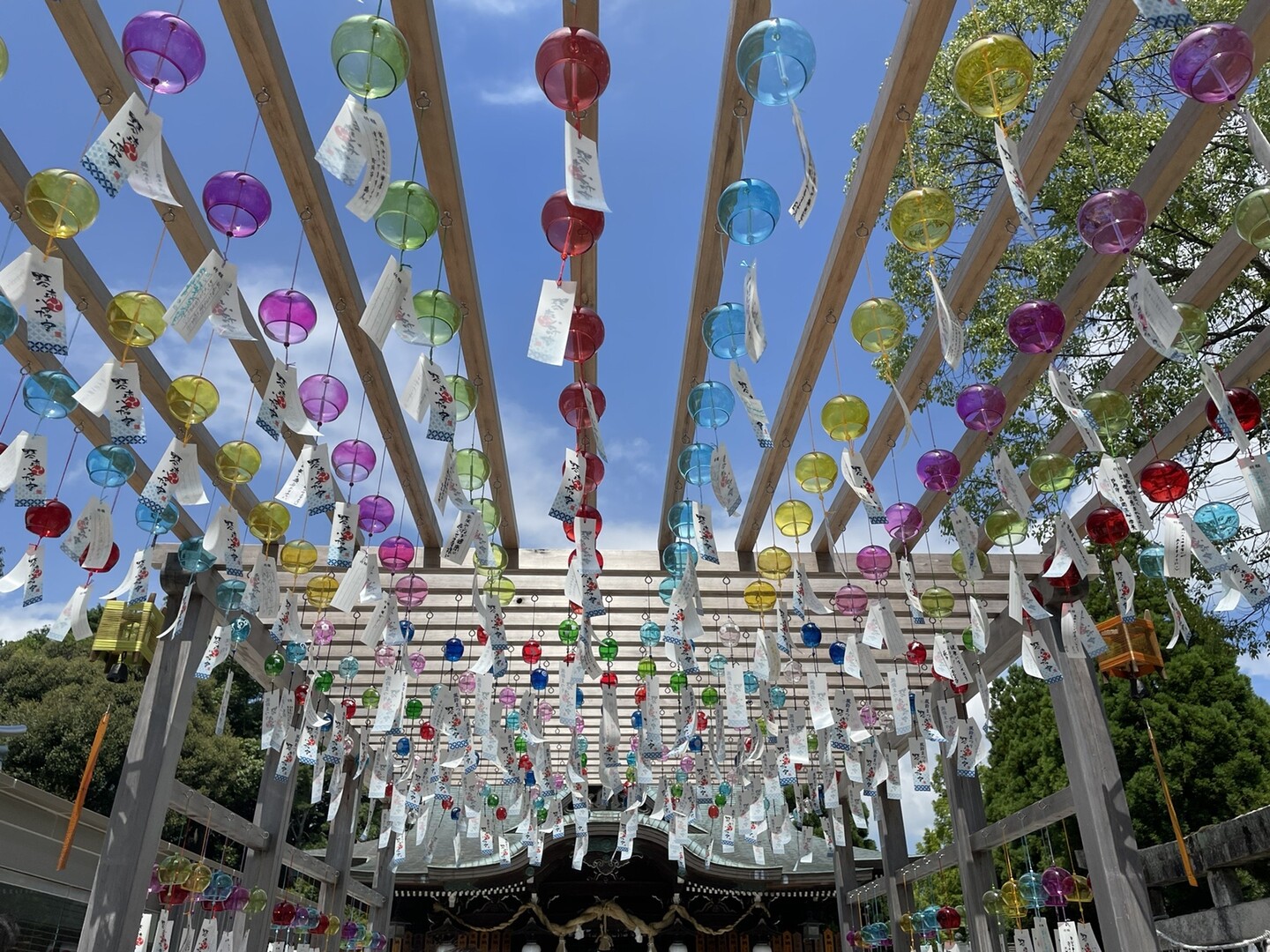 琴崎八幡宮 山口県宇部市 風鈴を見に行っ... / GONKEさんのモーメント | YAMAP / ヤマップ