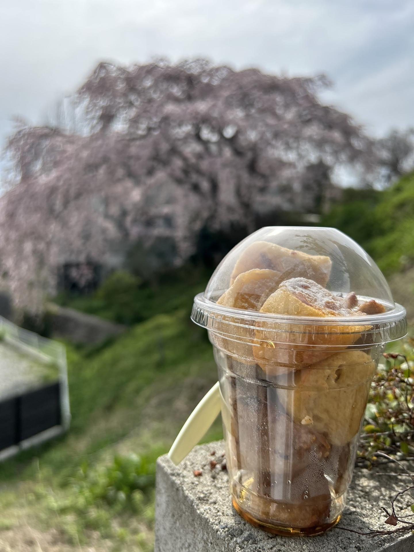 ここくる🥯@松江市 行きたかったベーグ... / Mocoさんのモーメント | YAMAP / ヤマップ