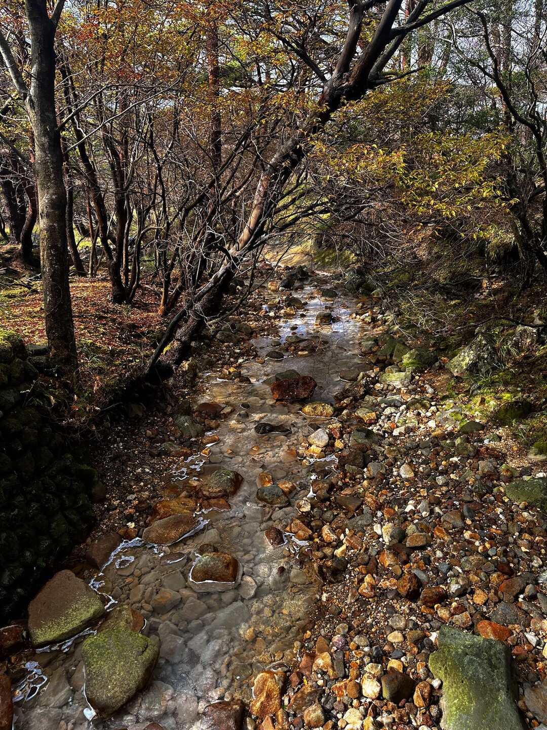 韓国岳（霧島山） / u.mountさんの霧島山・韓国岳・高千穂峰・夷守岳・烏帽子岳の活動データ | YAMAP / ヤマップ