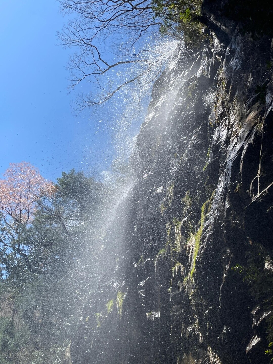 「龍頭山」 / gun グンさんの龍頭山の活動データ | YAMAP / ヤマップ
