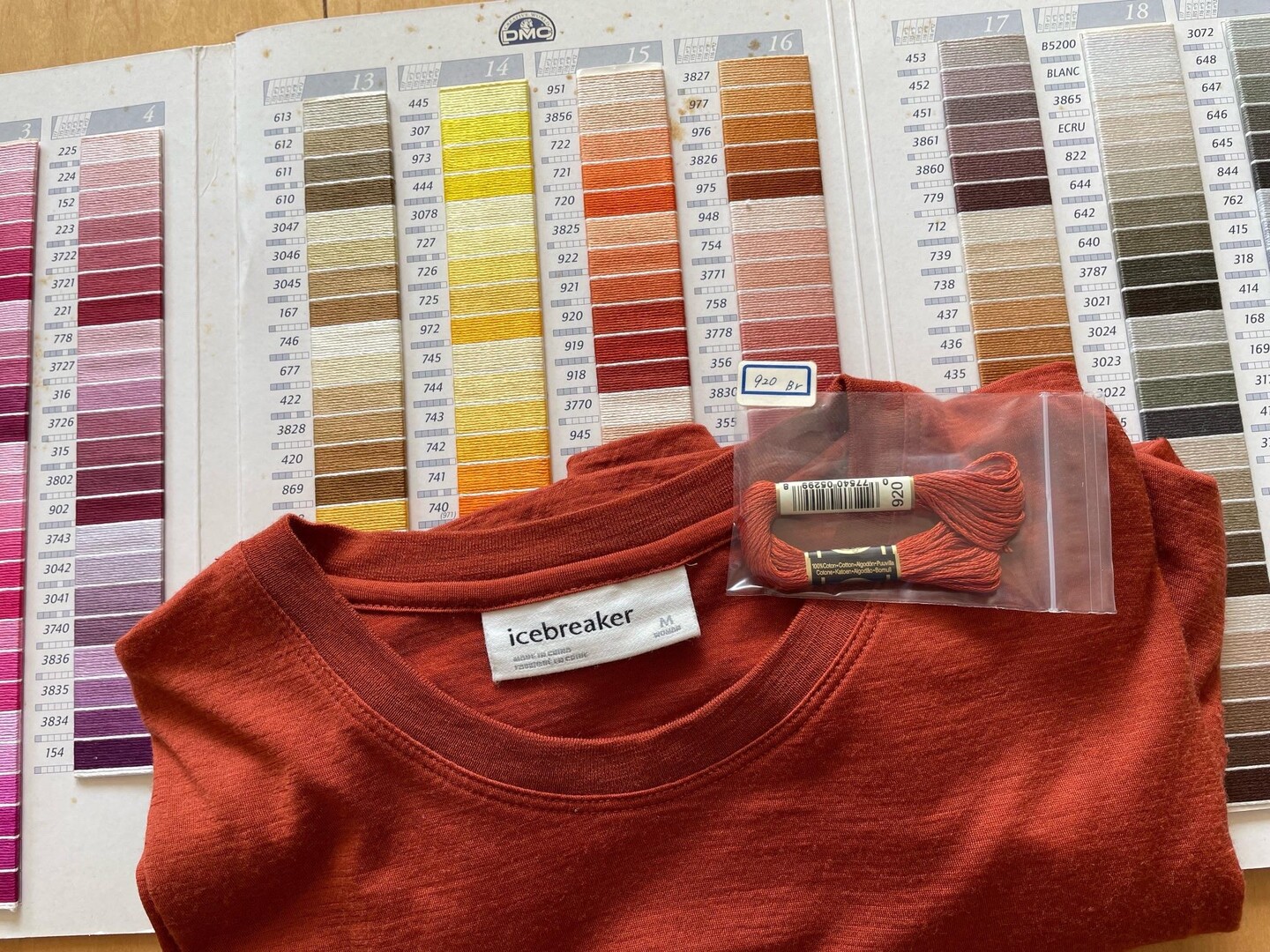 Tシャツ補修やってみました。 全くの自己... / midoriさんのモーメント | YAMAP / ヤマップ