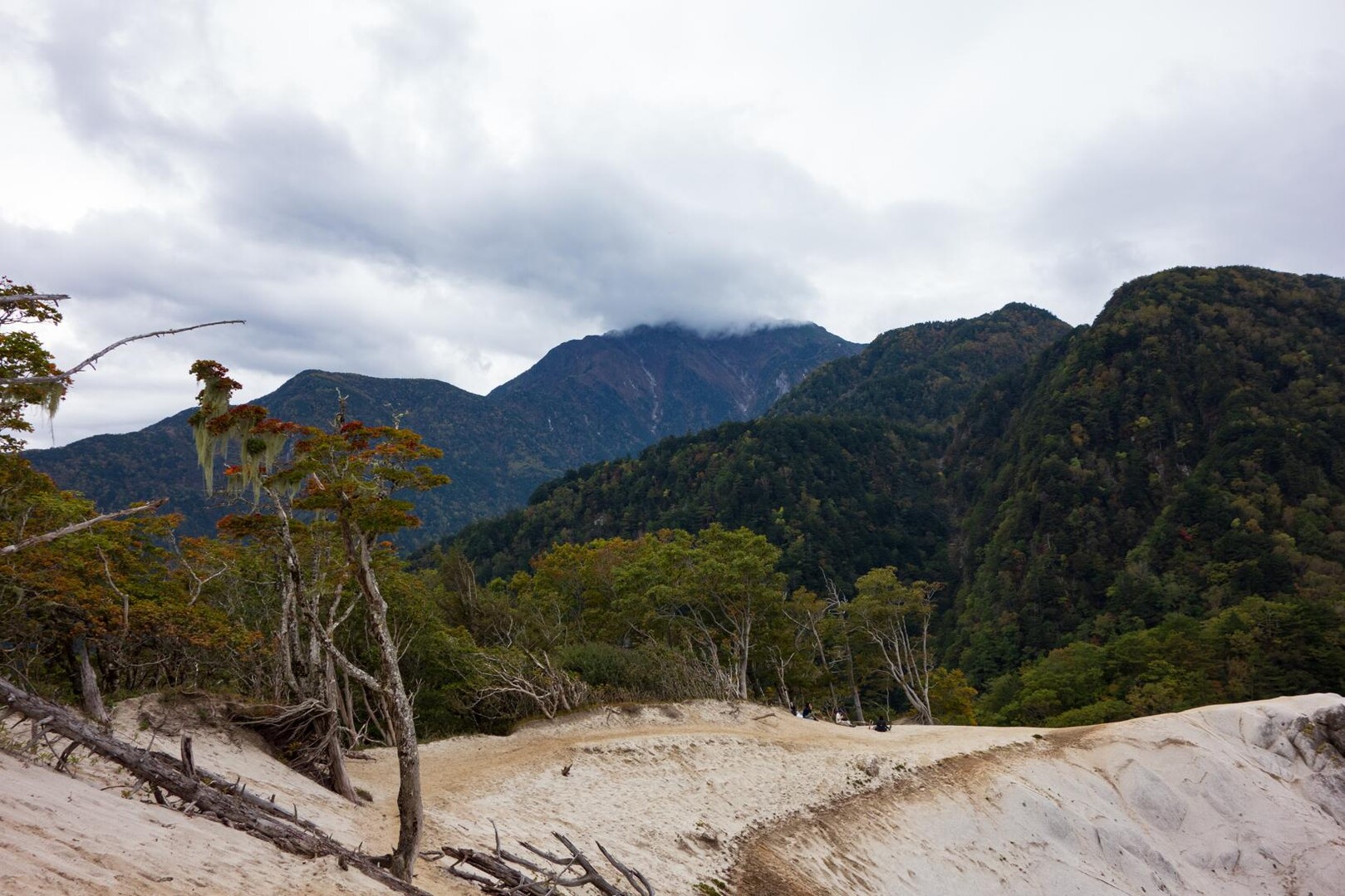 日向山 / hkhg_yさんの雨乞岳の活動データ | YAMAP / ヤマップ