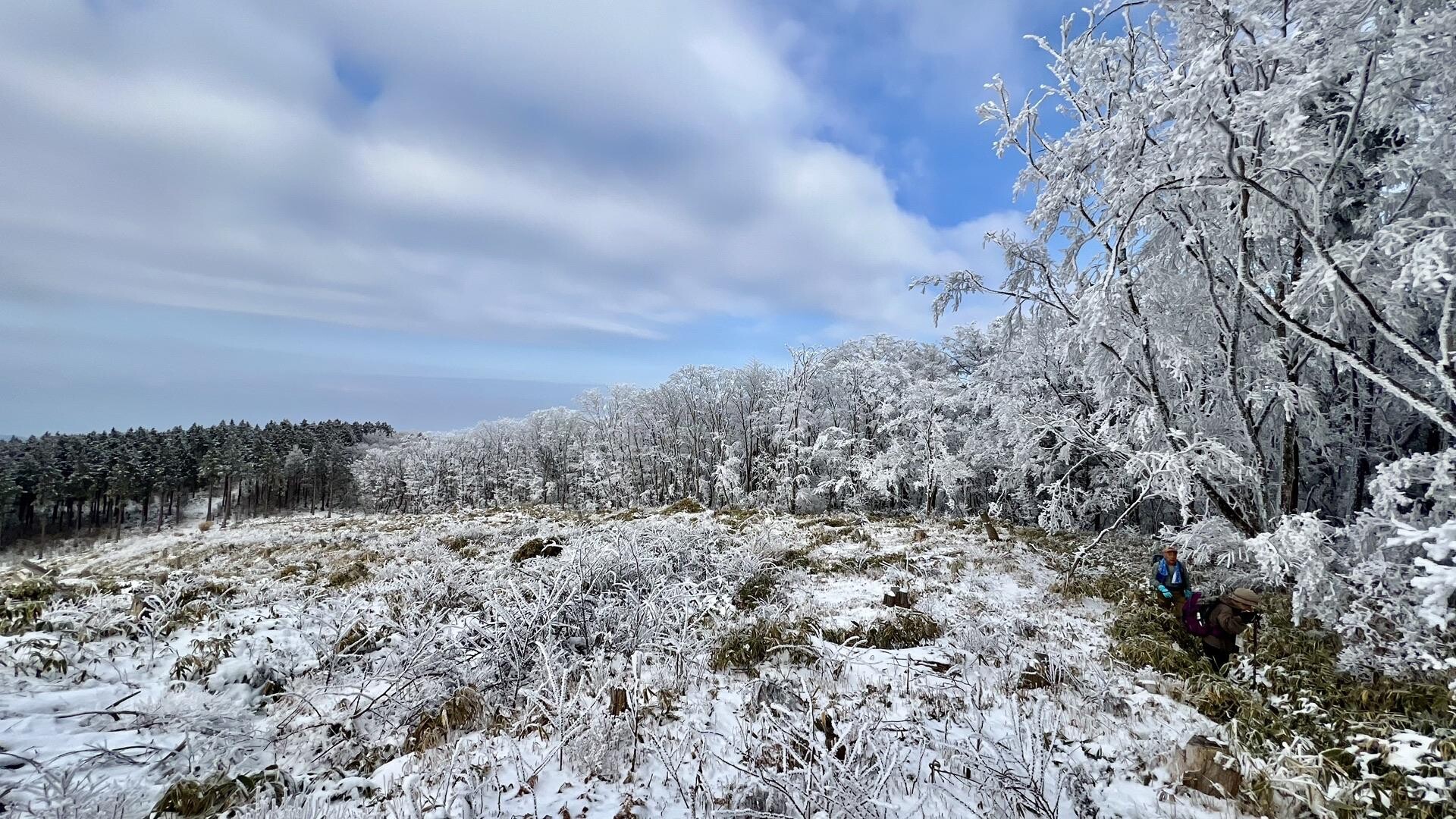 皿ヶ嶺 / makotoさんの皿ヶ嶺・梅ヶ谷山・うなめごの活動データ | YAMAP / ヤマップ