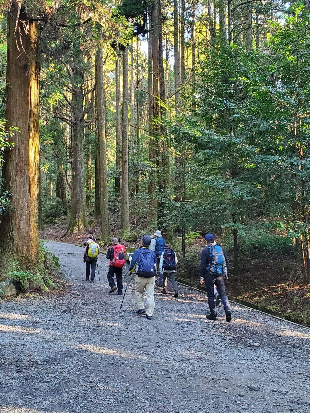 高千穂おたけみち / ららさんの霧島山・韓国岳・高千穂峰・夷守岳・烏帽子岳の活動データ | YAMAP / ヤマップ