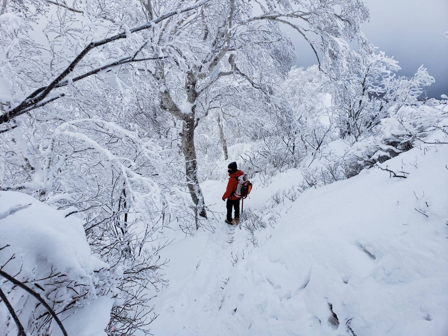 ryryryryのページ | YAMAP / ヤマップ