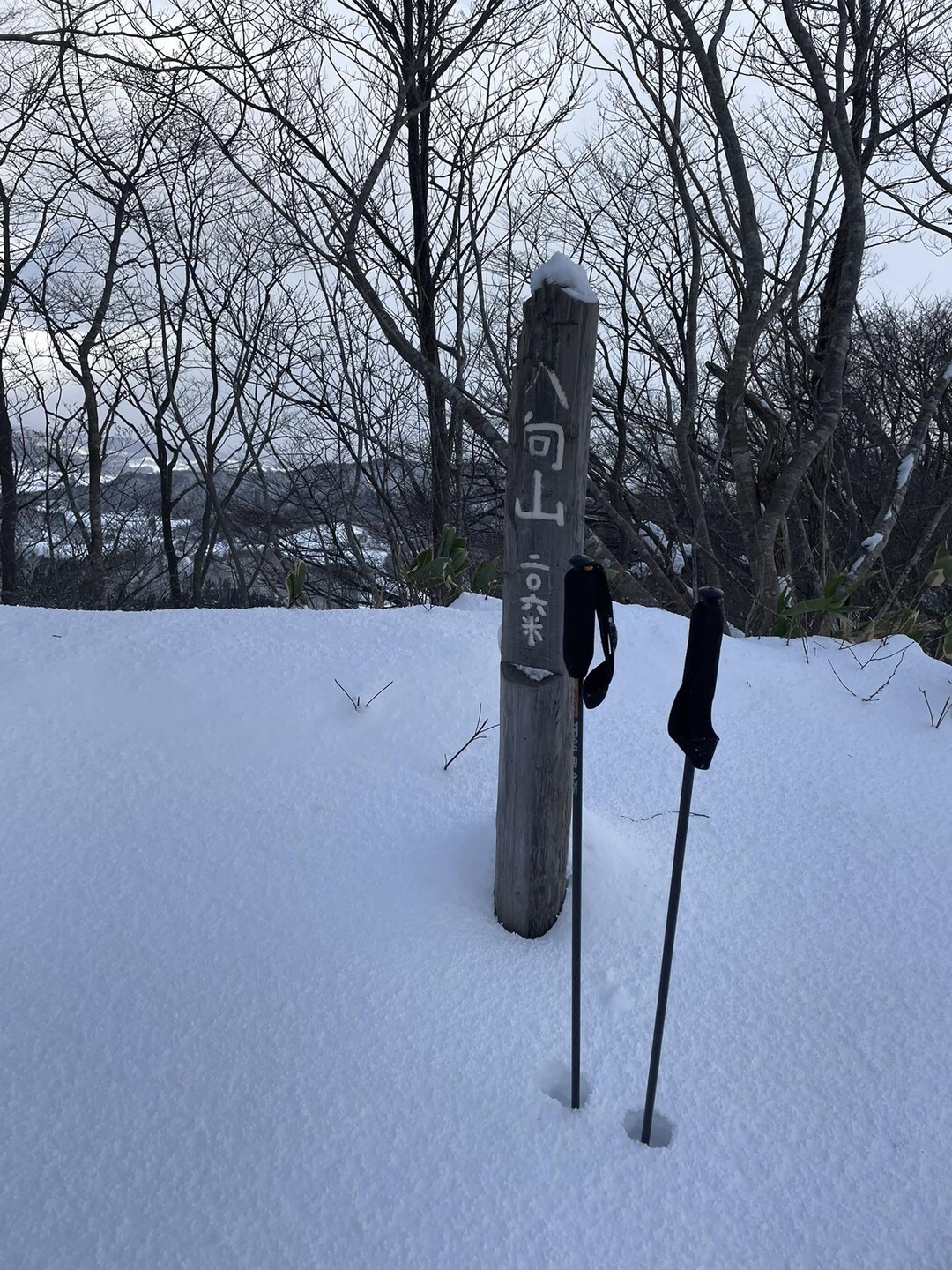 本日2座目八向山(やむきやま) / KJさんの八向山の活動データ | YAMAP / ヤマップ