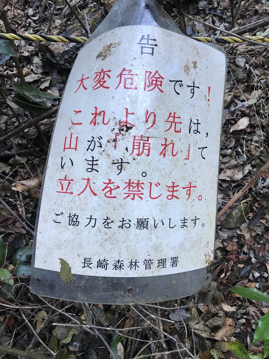 Meeyaさんの投稿したフィールドメモ | YAMAP / ヤマップ