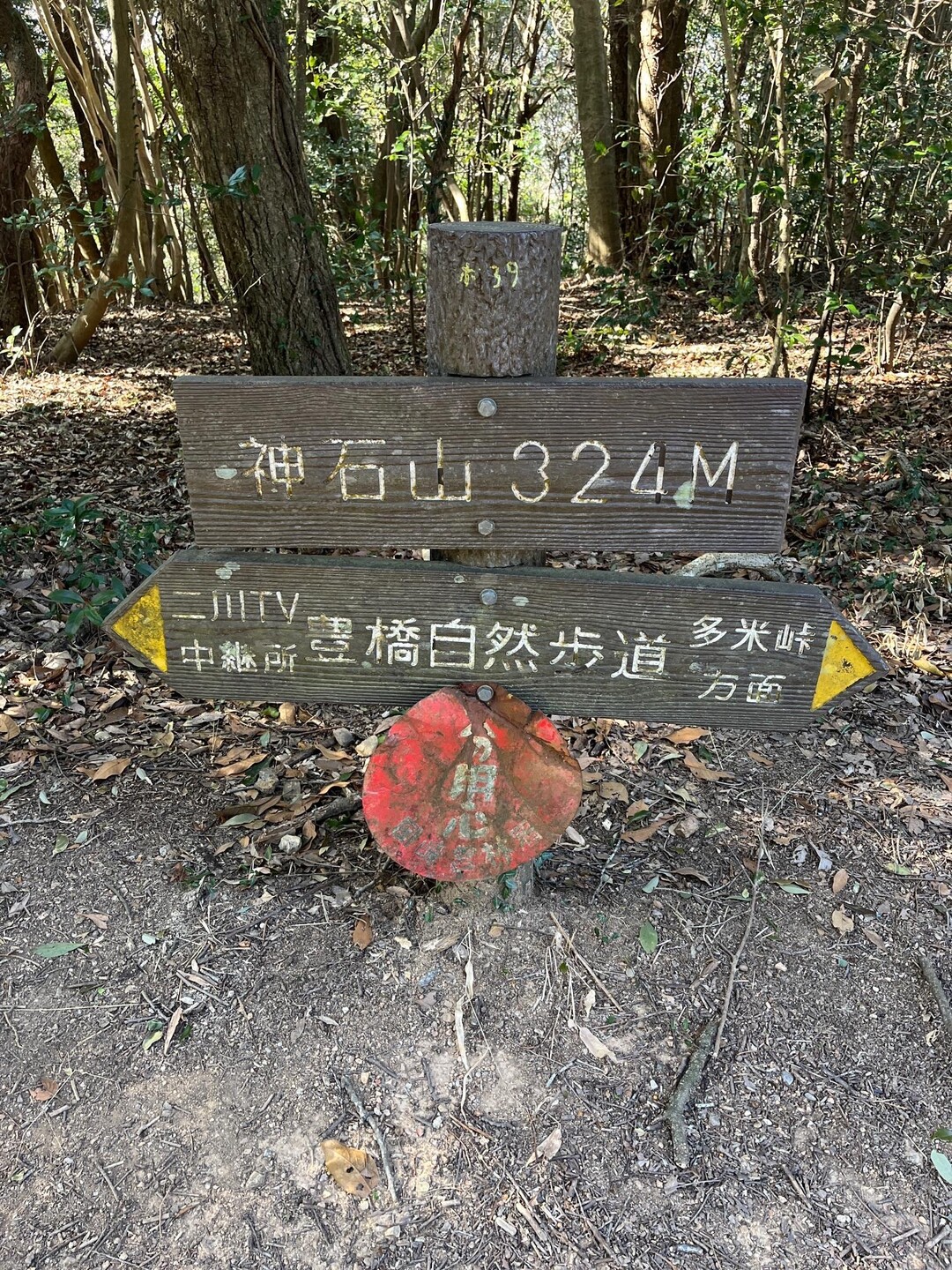 神石山 / Ofanielさんの坊ヶ峰・石巻山・神石山・葦毛湿原の活動データ | YAMAP / ヤマップ