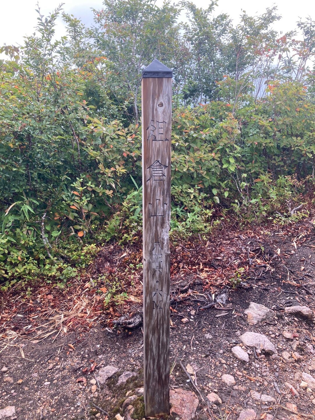 爼倉山 / mini98Dさんの蒜場山・焼峰山・俎倉山の活動データ | YAMAP / ヤマップ