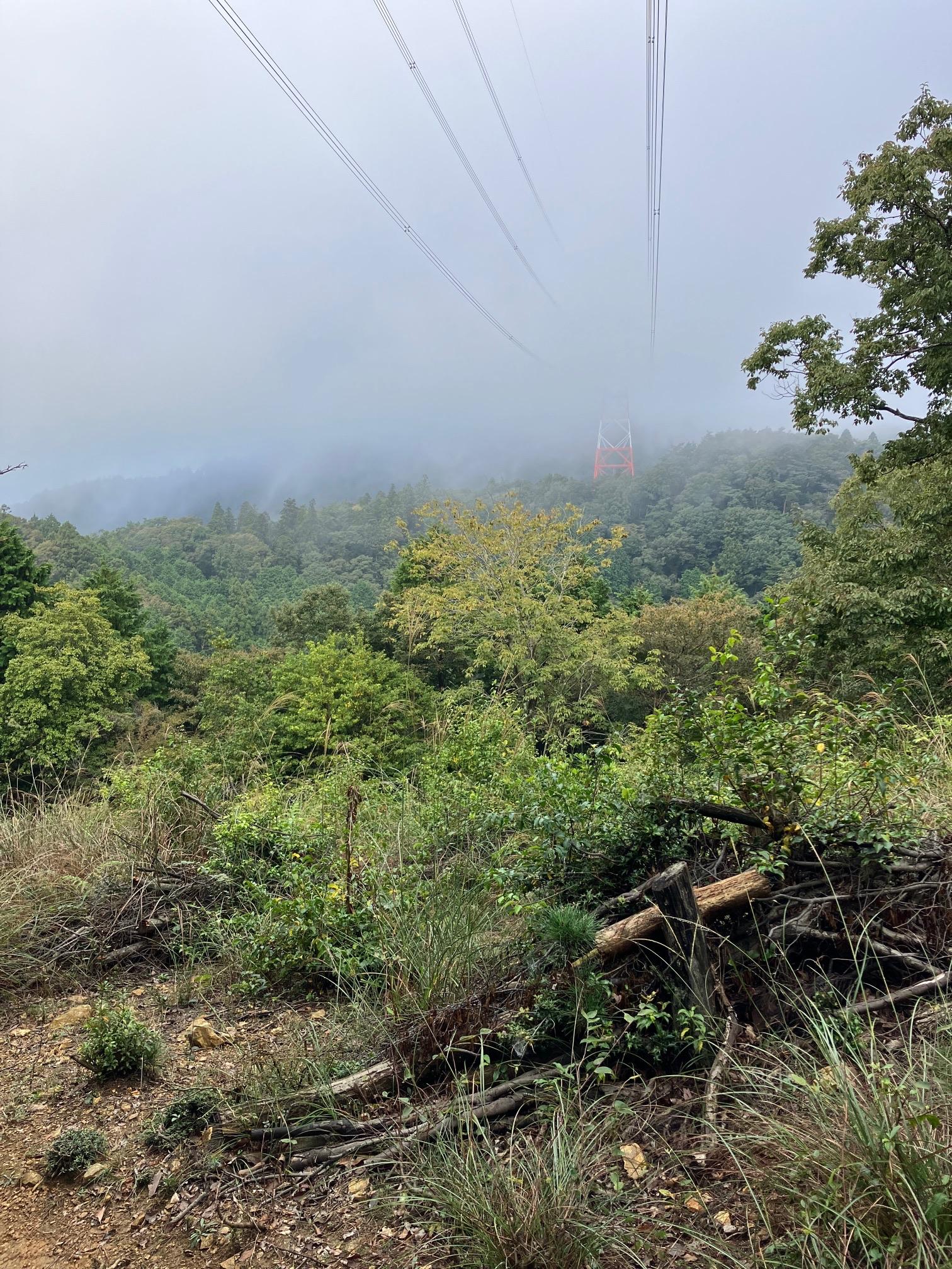 音羽山（往路は霧） / Miyumaさんの音羽山・醍醐山の活動データ | YAMAP / ヤマップ