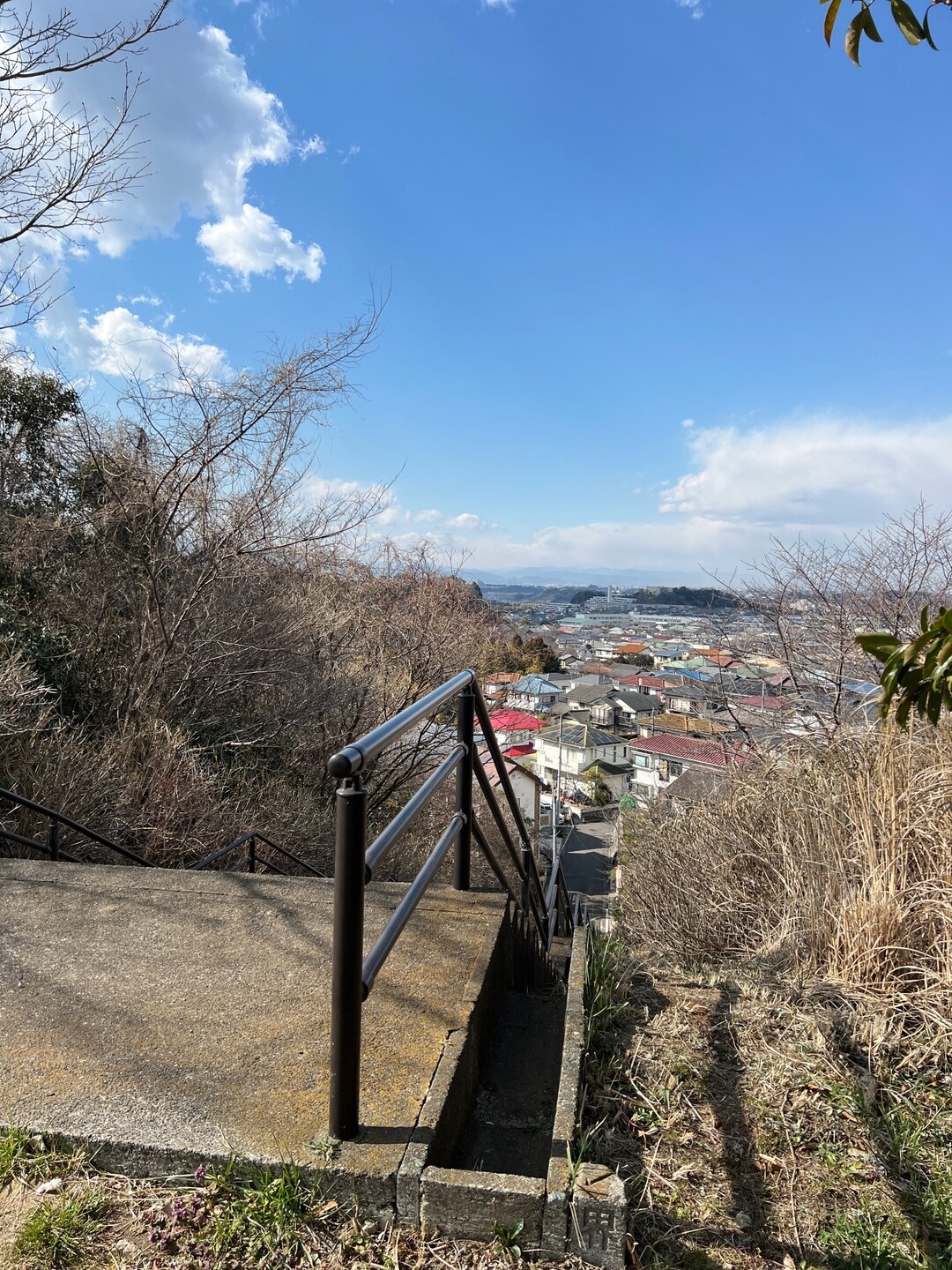 Amy(エイミー)さんの投稿したフィールドメモ | YAMAP / ヤマップ